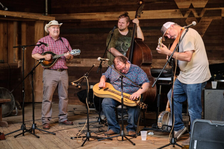 ArtsLink Presents Show With Long Point String Band | News, Sports, Jobs ...